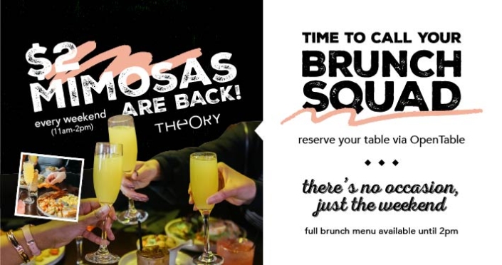 Theory: An Upscale Chicago Sports Lounge and Restaurant