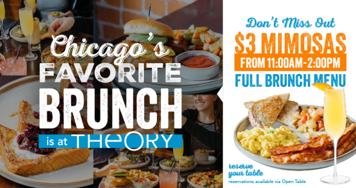 Theory: An Upscale Chicago Sports Lounge and Restaurant